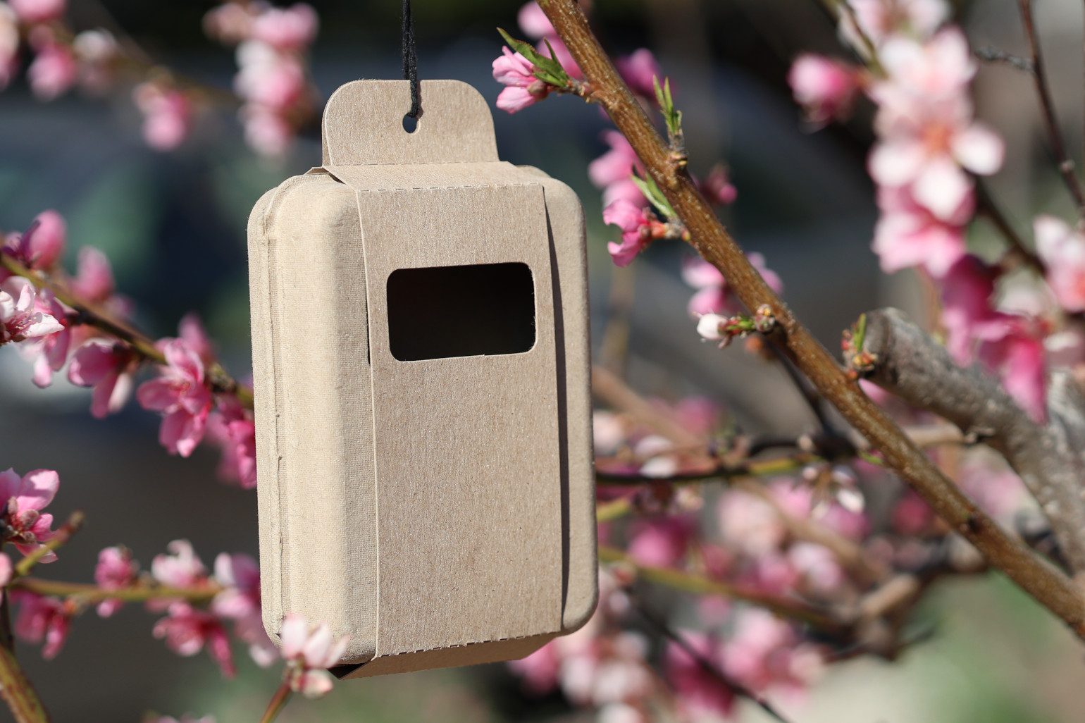 Hanging Wraps - Sustainable Packaging Industries