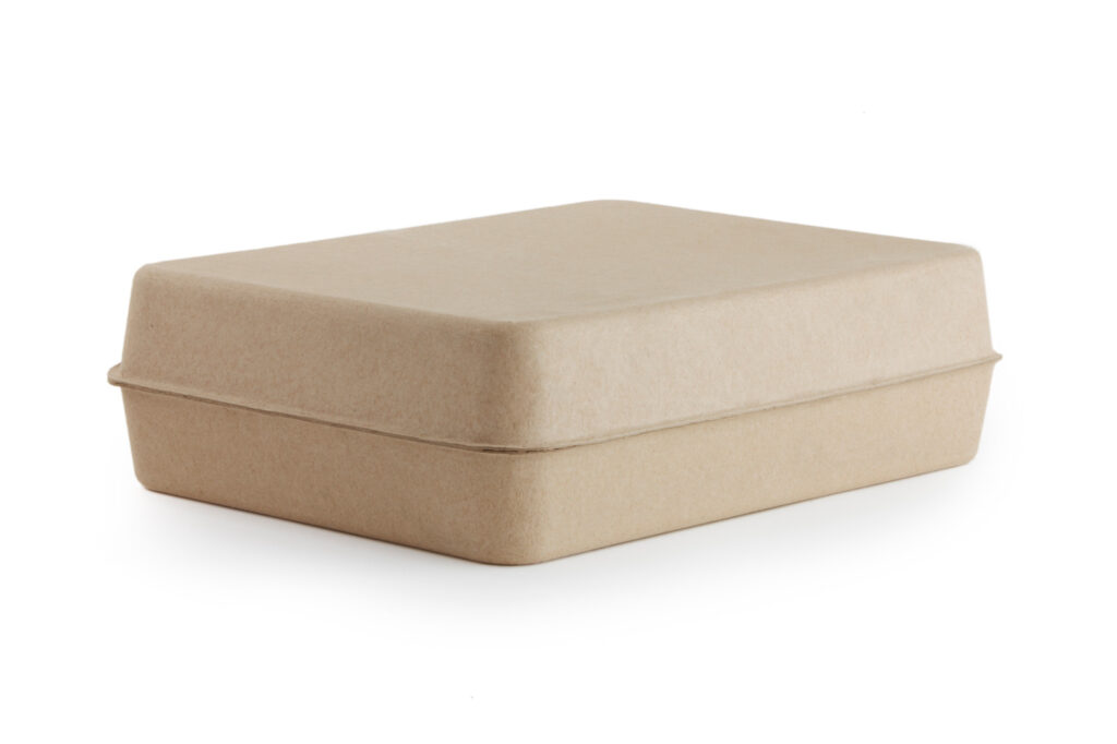 5.5" Medium Clamshell Box Clamshell - Sustainable Packaging Industries